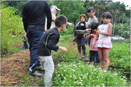1106(日) 荒野油羅田野菜採集料理活動 | 荒野保護協會
